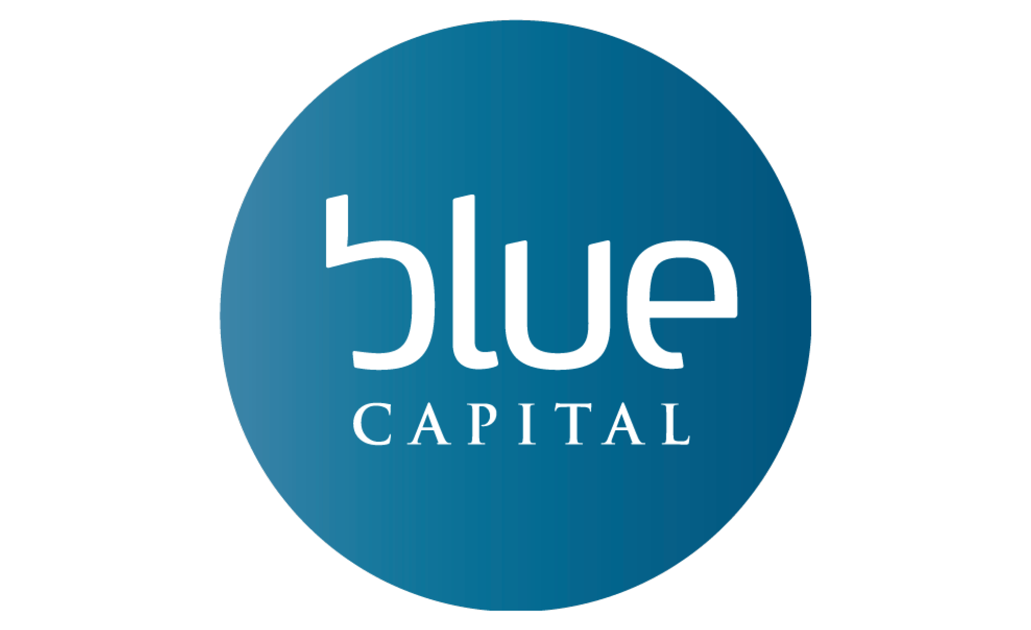 PROJEKTUDBYDER HAR HAFT BEDSTE ÅR NOGENSINDE » Blue Capital A/S
